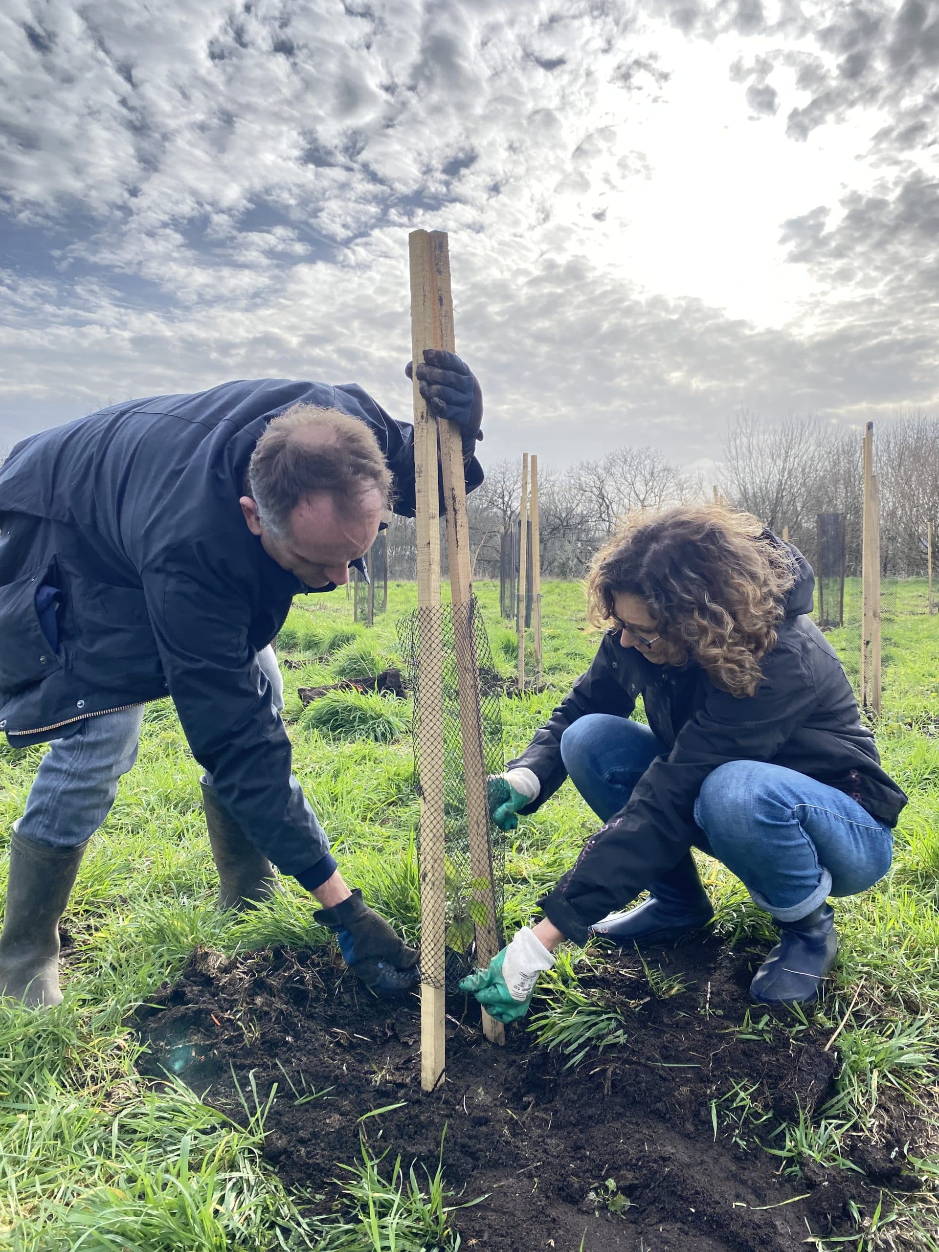 Planter des arbres pour plus de biodiversité